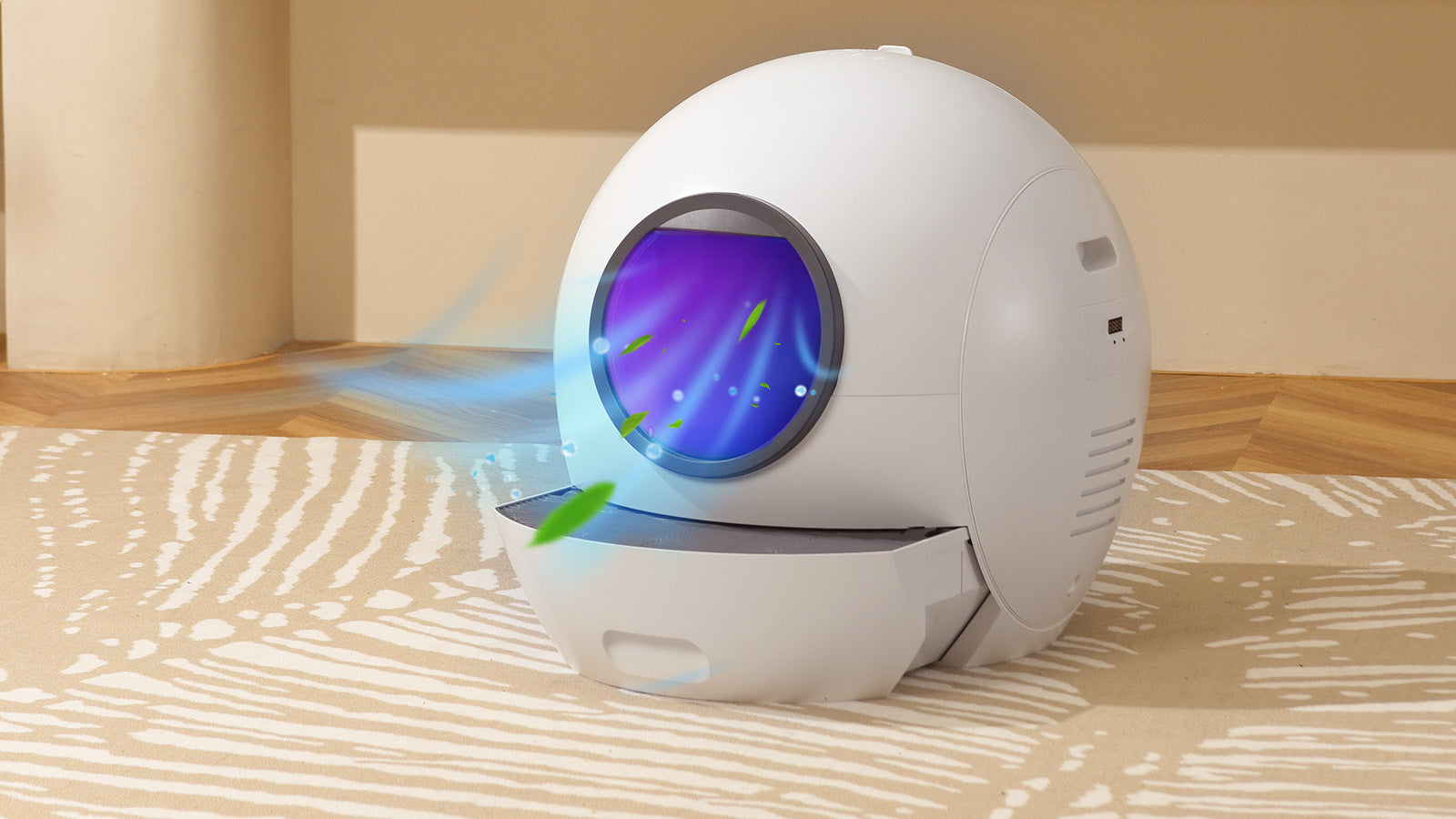 Expert Tips for Keeping Multi-Cat Households Smelling Fresh – elspet-us