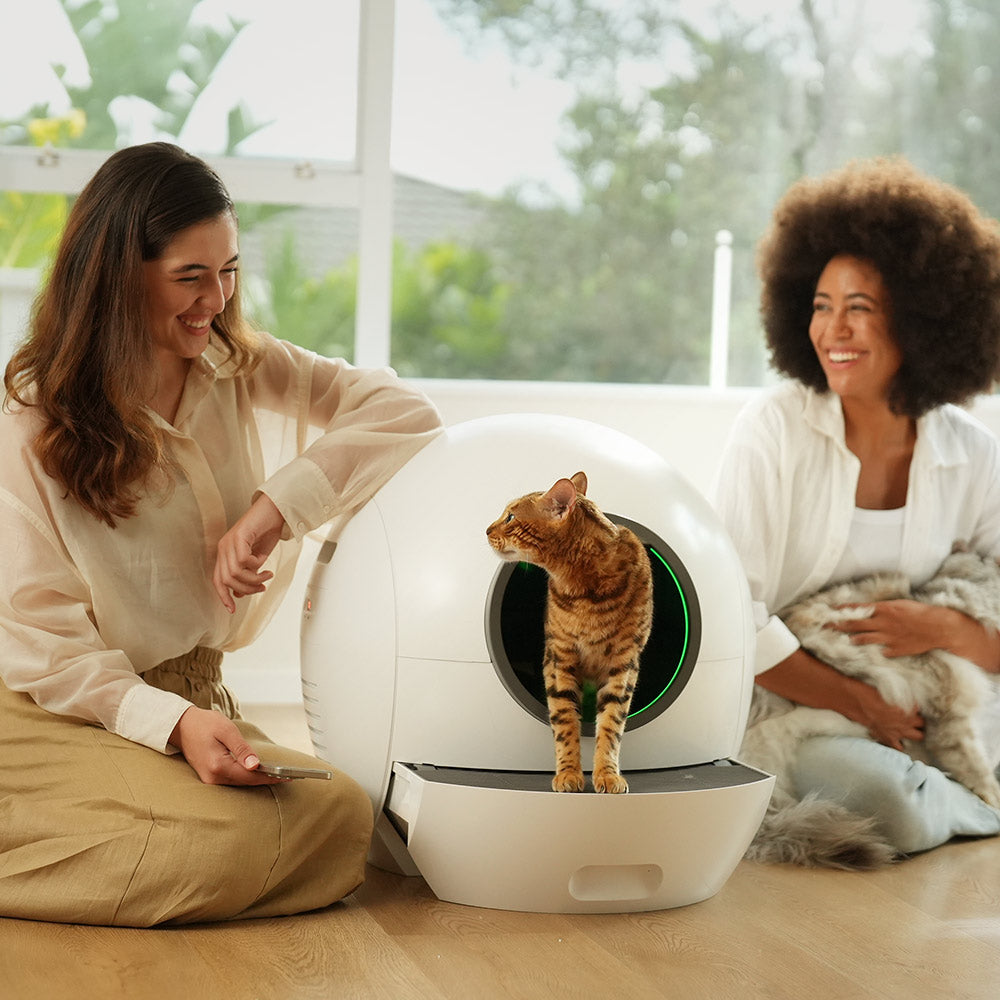 elspet Cat Litter Box