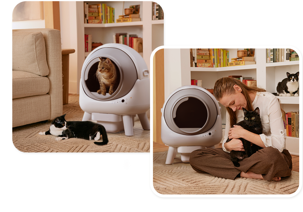 Els Pet Orbitie ,Self Cleaning,Automatic Litter Box For Cats – elspet-us