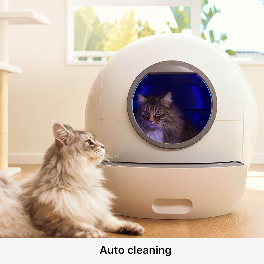 Els Pet Cat Litter Box – elspet