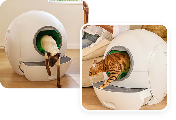 Els Pet Self-Cleaning Litter Box - Automatic, Odor-Free & Health ...