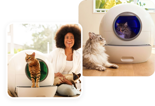 Els Pet Self-Cleaning Litter Box - Automatic, Odor-Free & Health ...