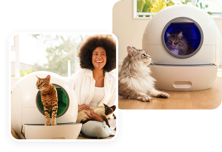 Els Pet Self-Cleaning Litter Box - Automatic, Odor-Free & Health ...