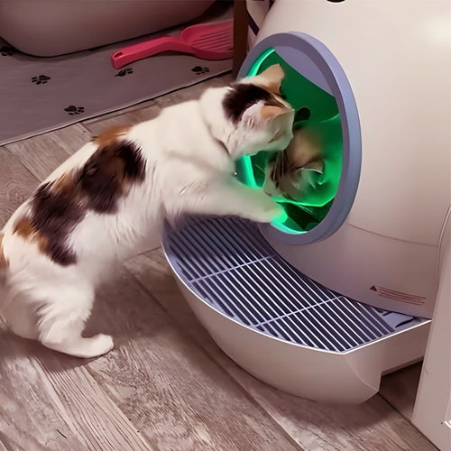 Els Pet Cat Litter Box – elspet-us