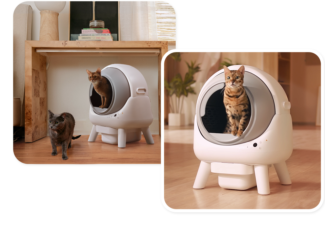 Els Pet Orbitie ,Self Cleaning,Automatic Litter Box For Cats – elspet-us