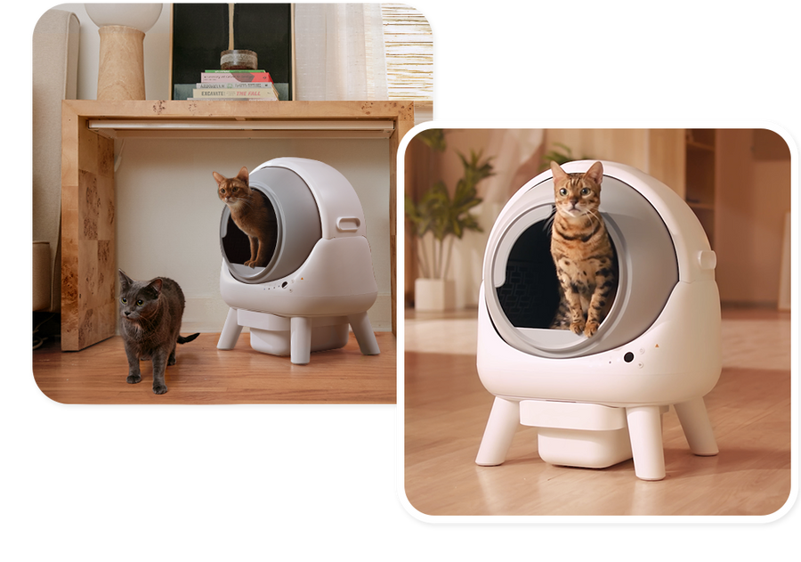 Els Pet Orbitie ,Self Cleaning,Automatic Litter Box For Cats – elspet-us
