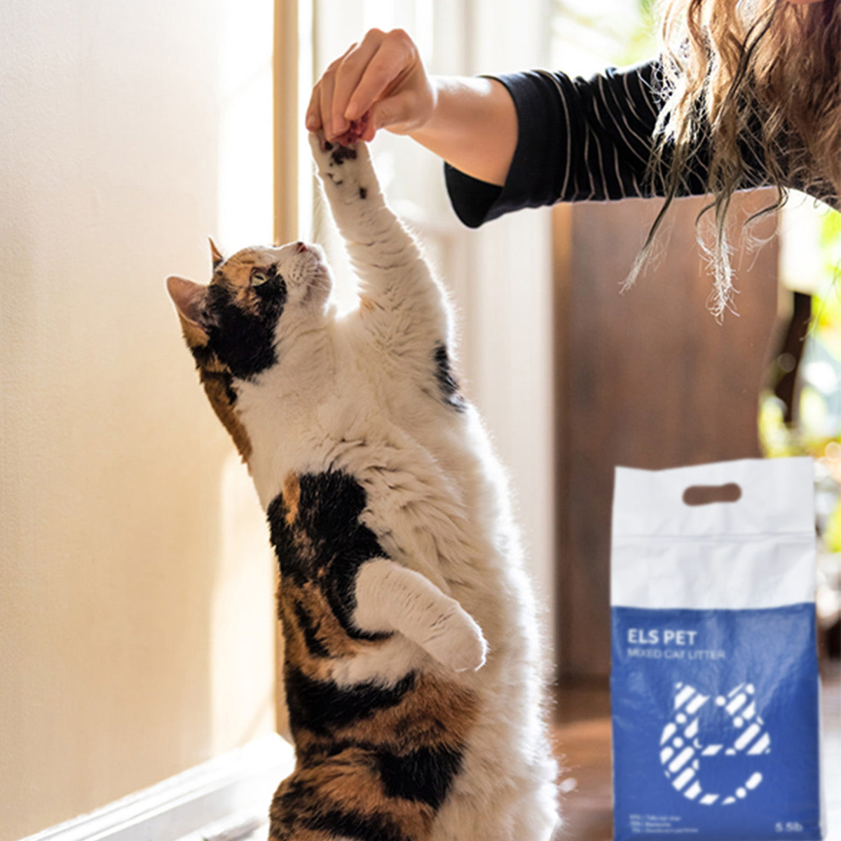 ELS PET Clumping Cat Litters 2 Packs, Strong 3 in 1 Mixed Cat Litter ...