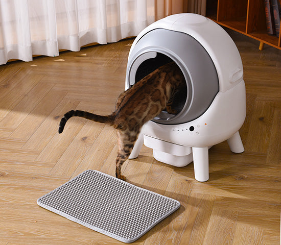 Els Pet Orbitie Self Cleaning Litter Box Sweet Starter Bundle – elspet-us