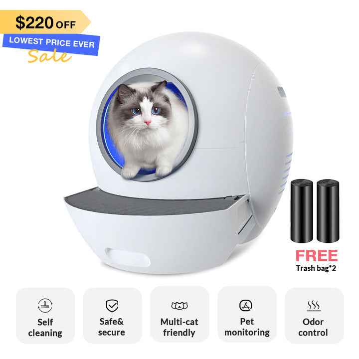 LITTER BOX – elspet