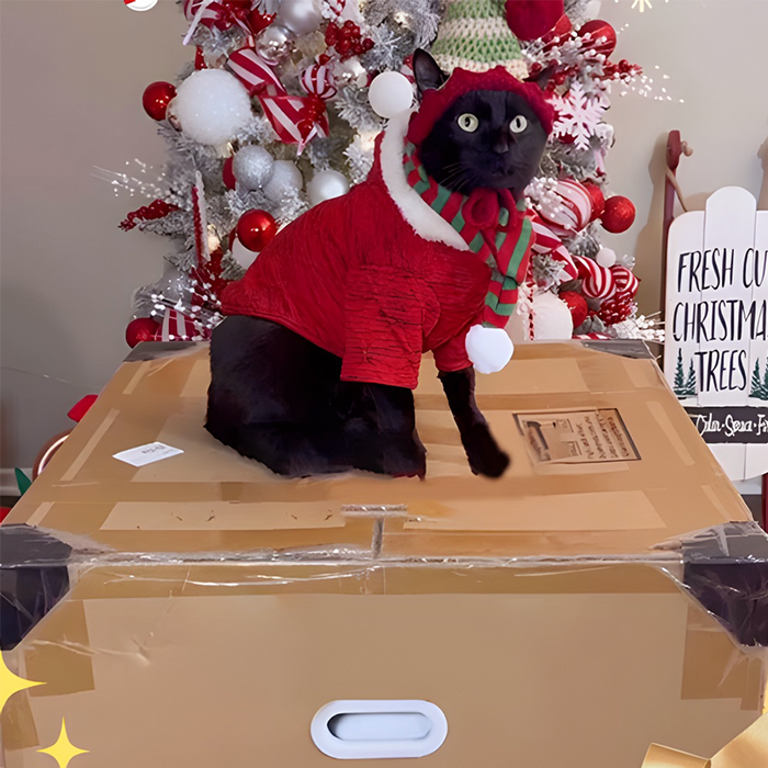 Els Pet Cat Litter Box – elspet-us