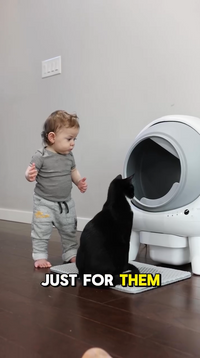 Els Pet Orbitie ,Self Cleaning,Automatic Litter Box For Cats – elspet-us