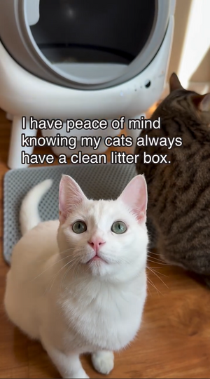 Els Pet Orbitie ,Self Cleaning,Automatic Litter Box For Cats – elspet-us