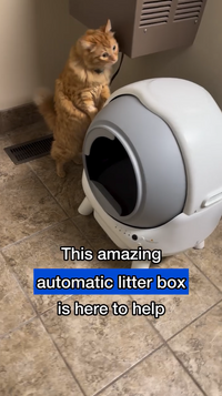 Els Pet Orbitie ,Self Cleaning,Automatic Litter Box For Cats – elspet-us